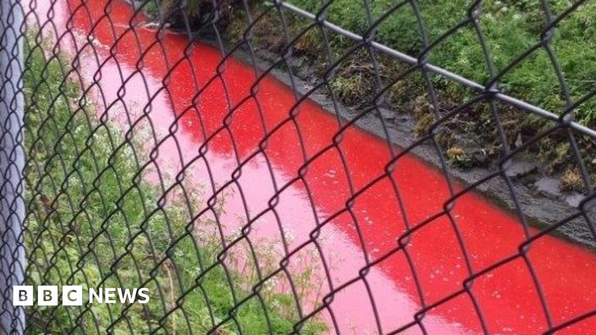 Blackstaff river: Belfast ink company says it's responsible for red ...