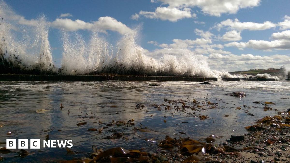 Your pictures of Scotland: 1 May - 8th May - BBC News