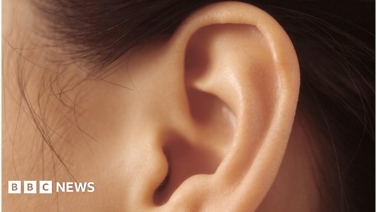 Locating objects using echoes 'needs two good ears' - BBC News