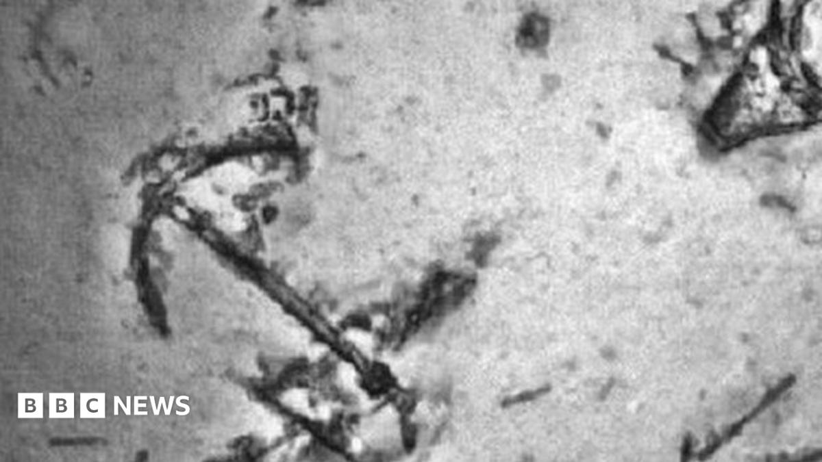 MH370 search discovers uncharted shipwreck - BBC News