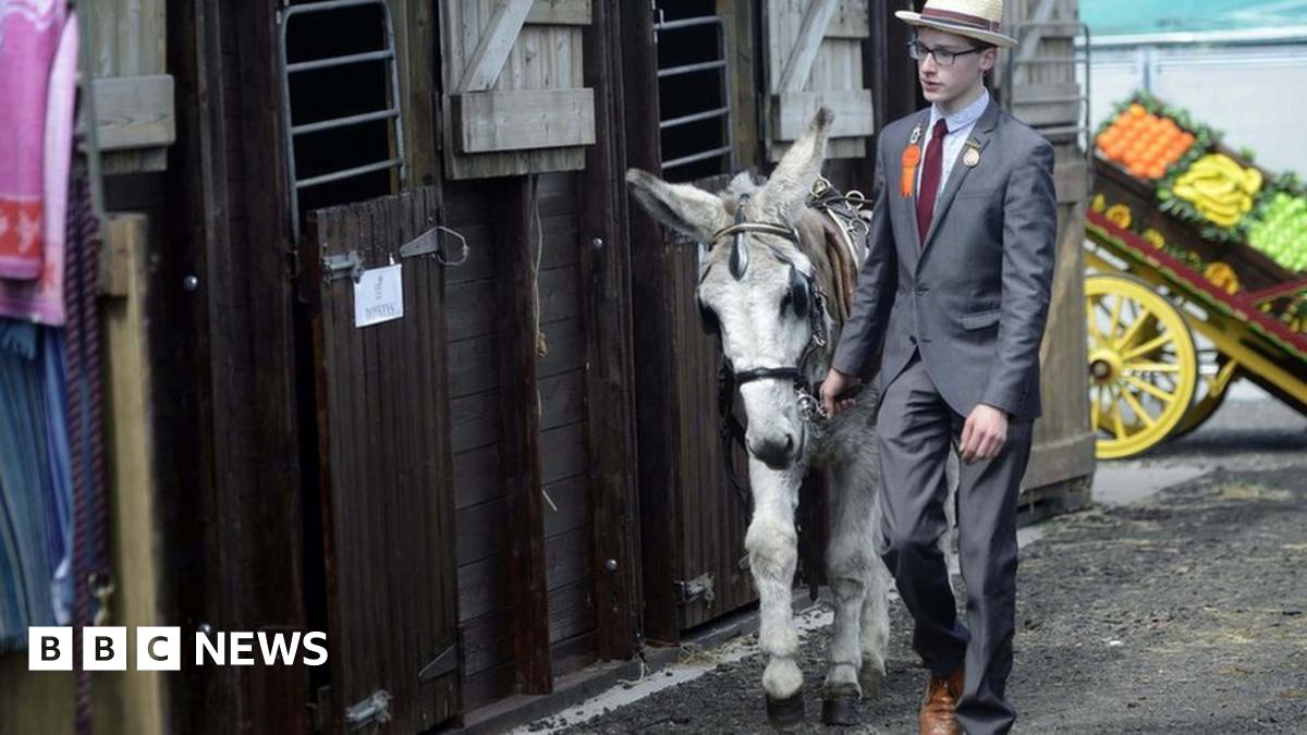 In Pictures: Balmoral Show begins at old Maze Prison site near Lisburn ...