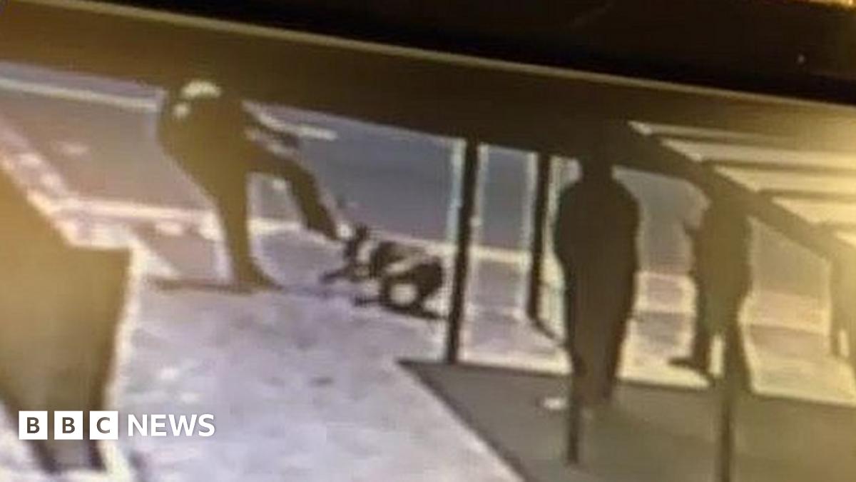 Man arrested after dog kicked in head in Darlington - BBC News