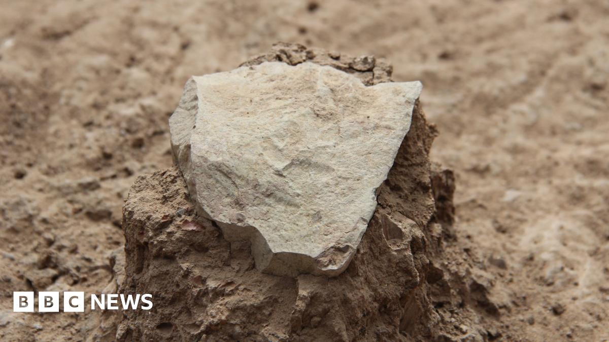 Oldest stone tools pre-date earliest humans - BBC News