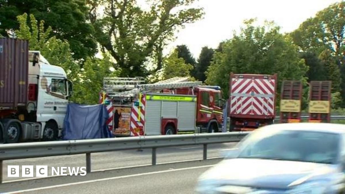 Van driver dies after crash on A90 - BBC News