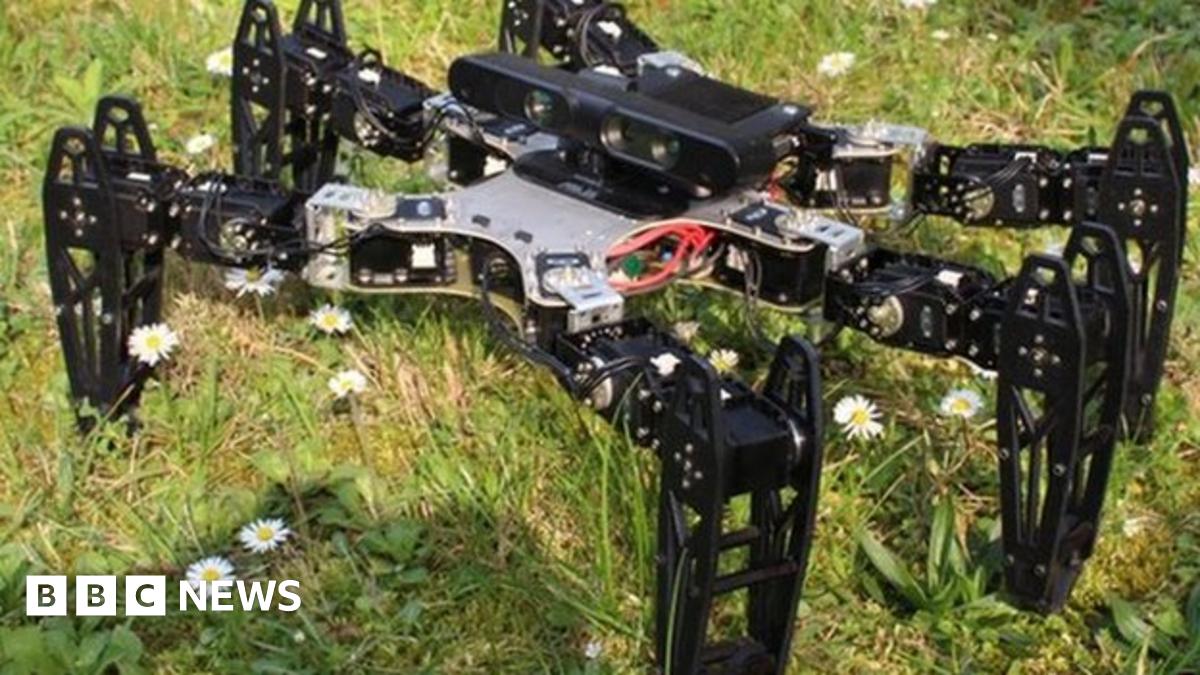 Adaptable robots 'on their way' to the home - BBC News