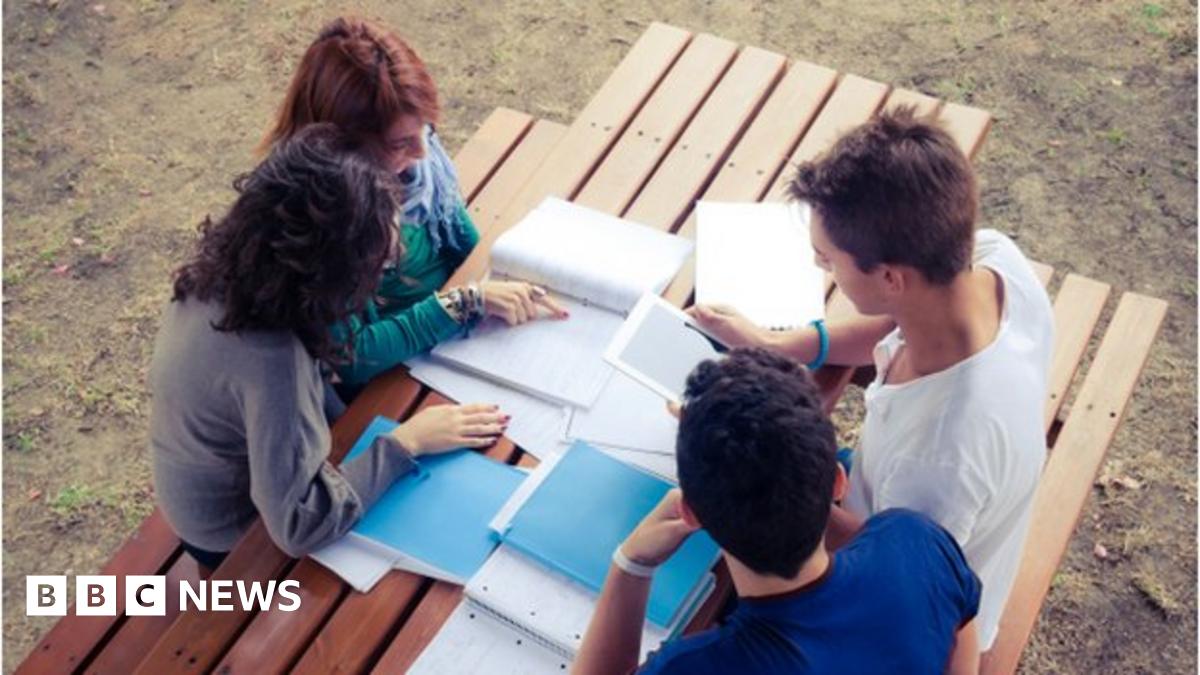 More UK students 'go abroad for part of degrees' - BBC News