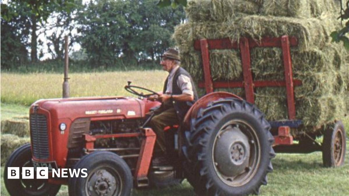 Birches Farm, in Herefordshire, is bought by wildlife trust - BBC News