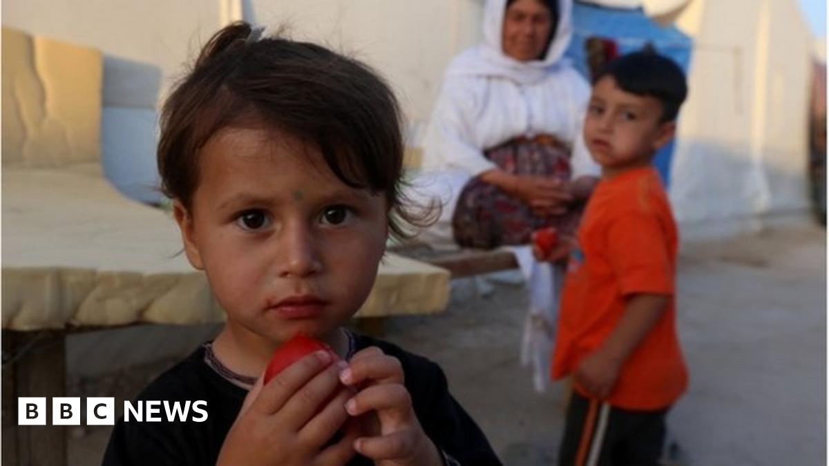 Islamic State: What has happened since the fall of Mosul? - BBC News