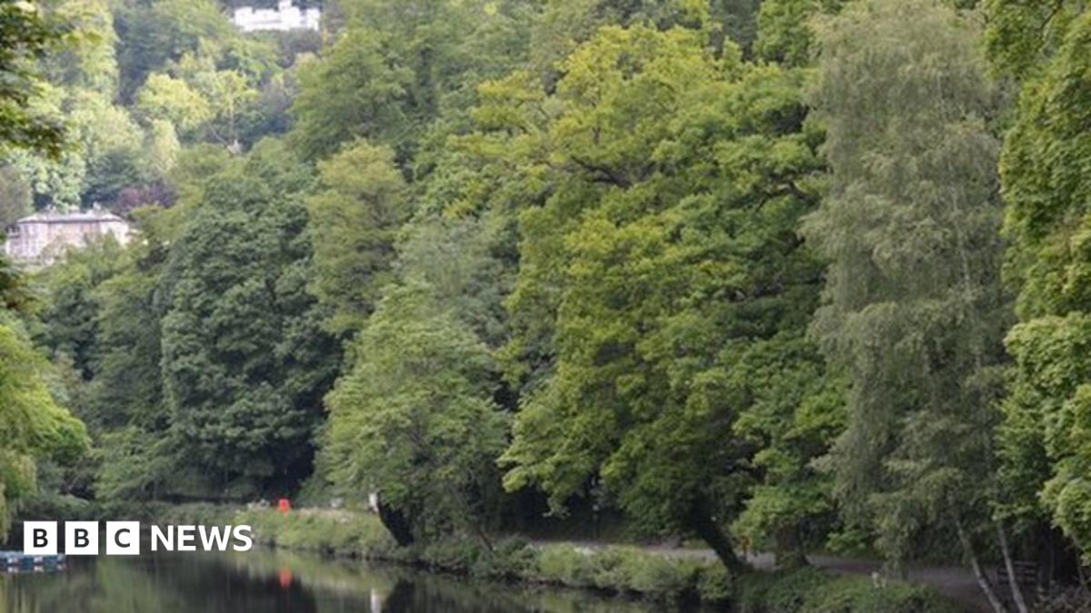 Lovers' Walks in Matlock Bath closed over cliff fears - BBC News
