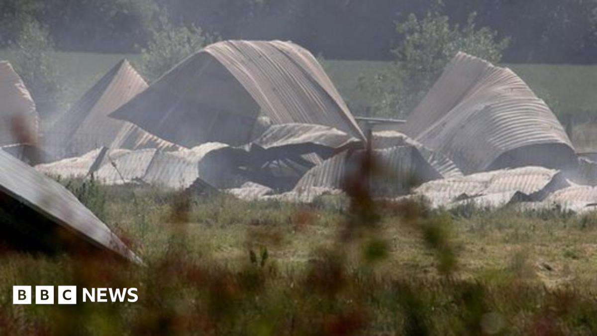 Felsted poultry farm fire kills livestock - BBC News