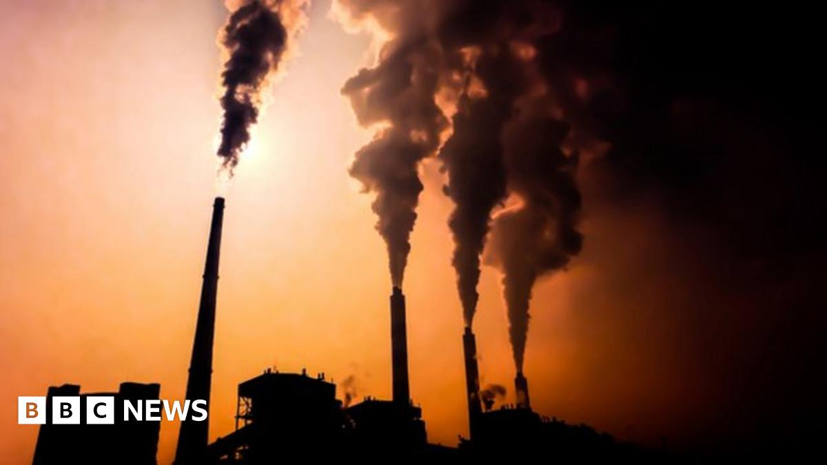 Can the divestment movement tame climate change? - BBC News