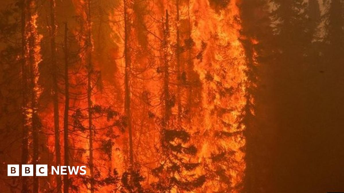 Alaska wildfires: 'Explosive' flames force evacuations - BBC News