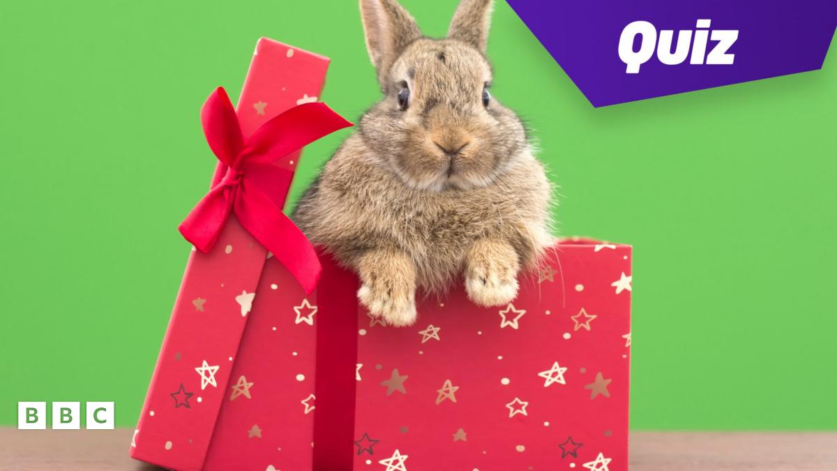 Christmas Quiz: Time to test your knowledge! - BBC Newsround