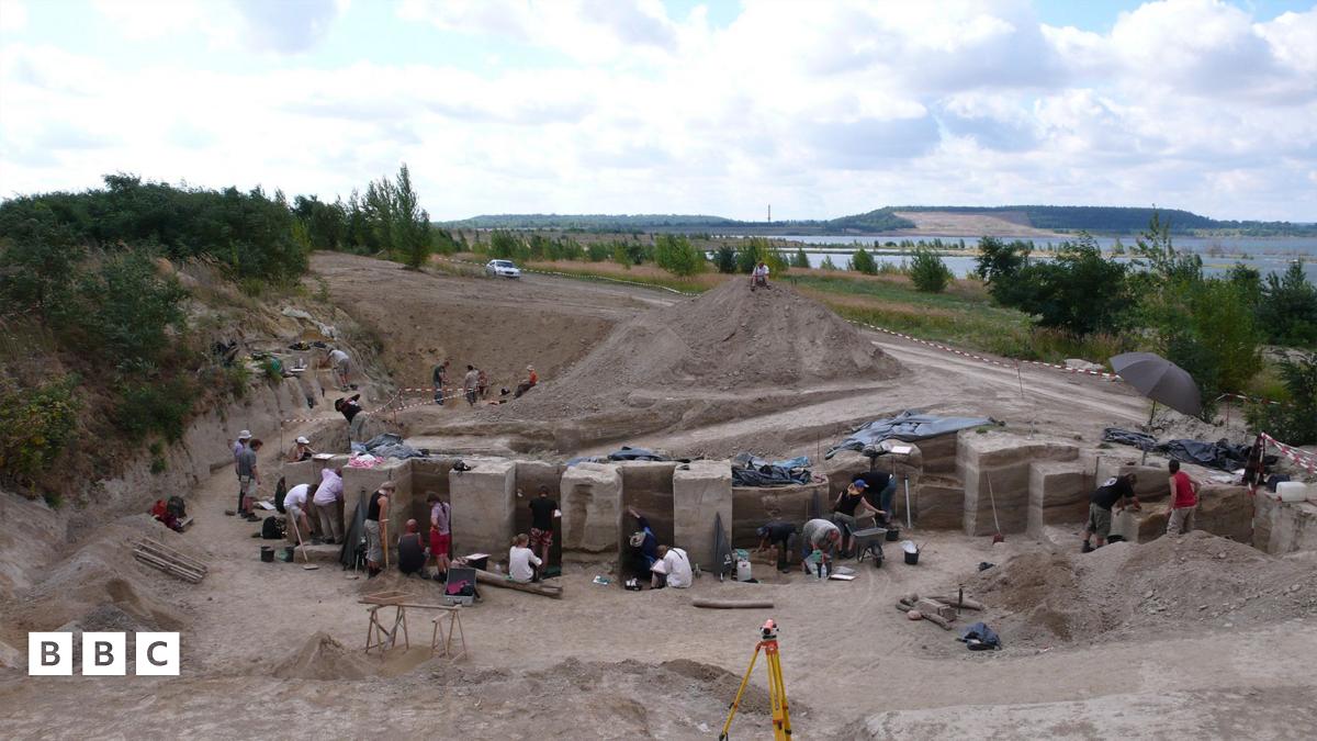 Inside the prehistoric 'fat factory' - BBC Newsround