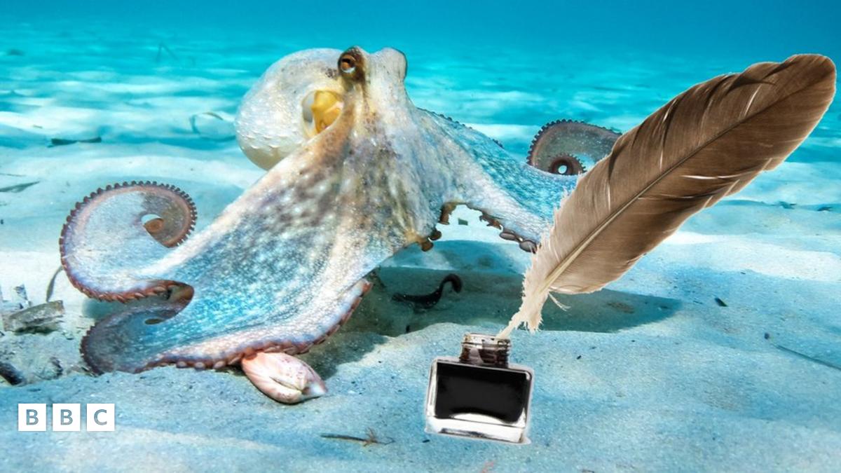 Colour changing ink invented by scientists at Hong Kong University ...