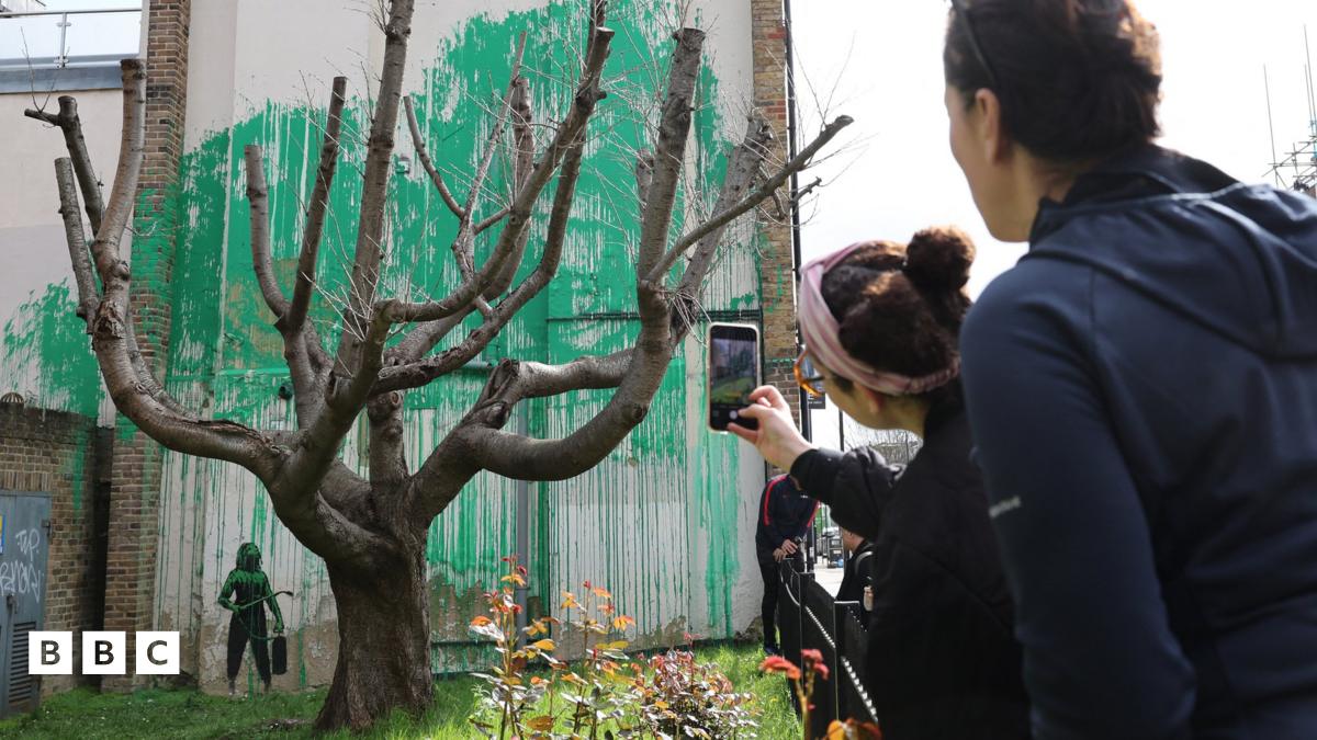 Banksy confirms tree mural in London is his work - BBC Newsround