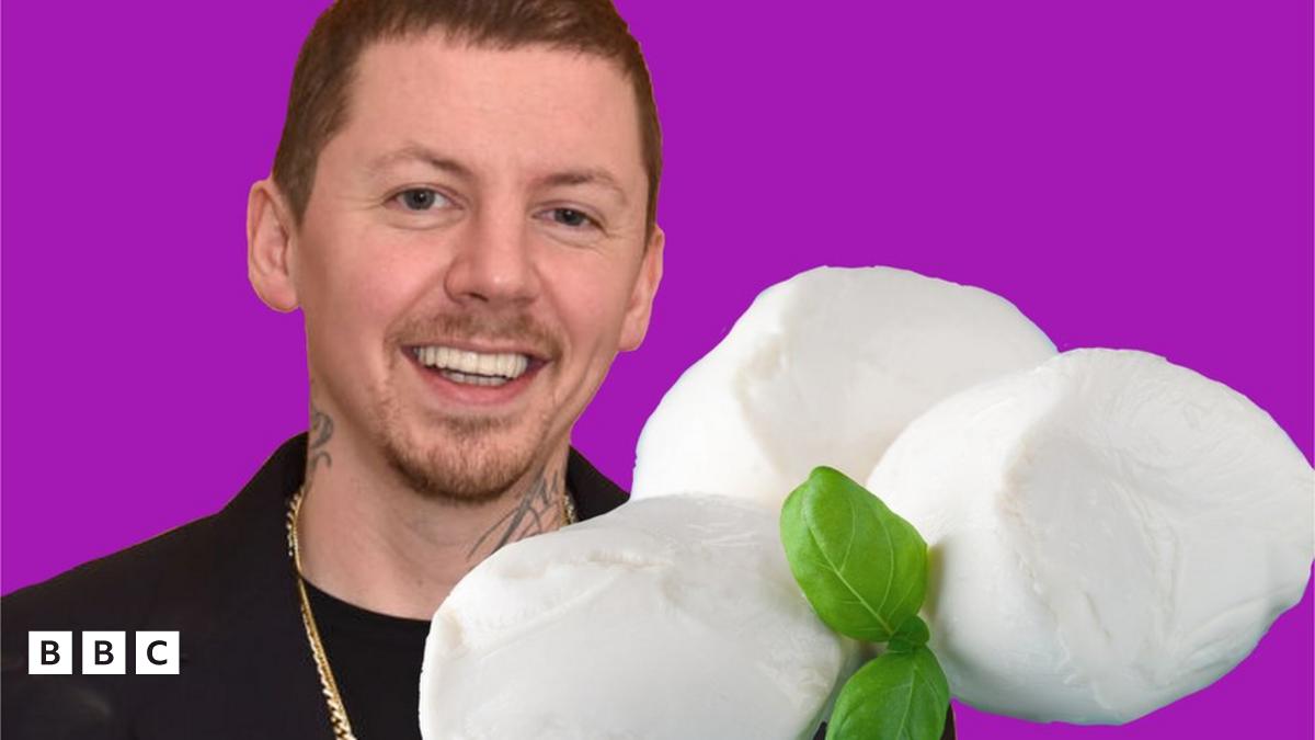 'Human cheese' created using bacteria from celebrities - BBC Newsround