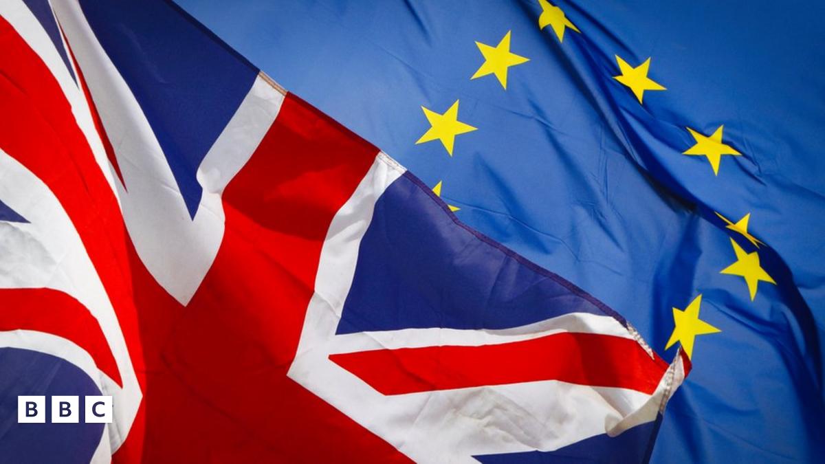 What is the EU Settlement Scheme? - BBC Newsround