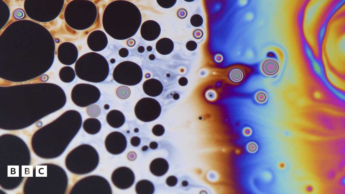 Can you guess what these amazing science pictures are? - BBC Newsround