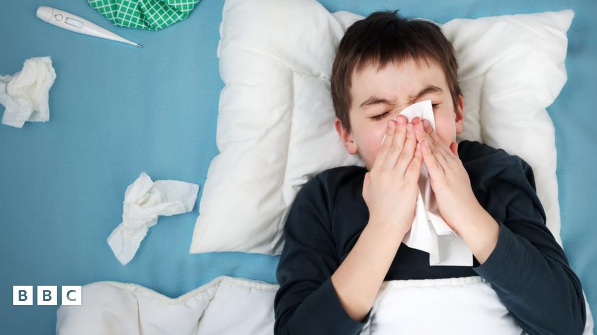 Coping with the common cold: Five ways to help get rid of a cold - BBC ...