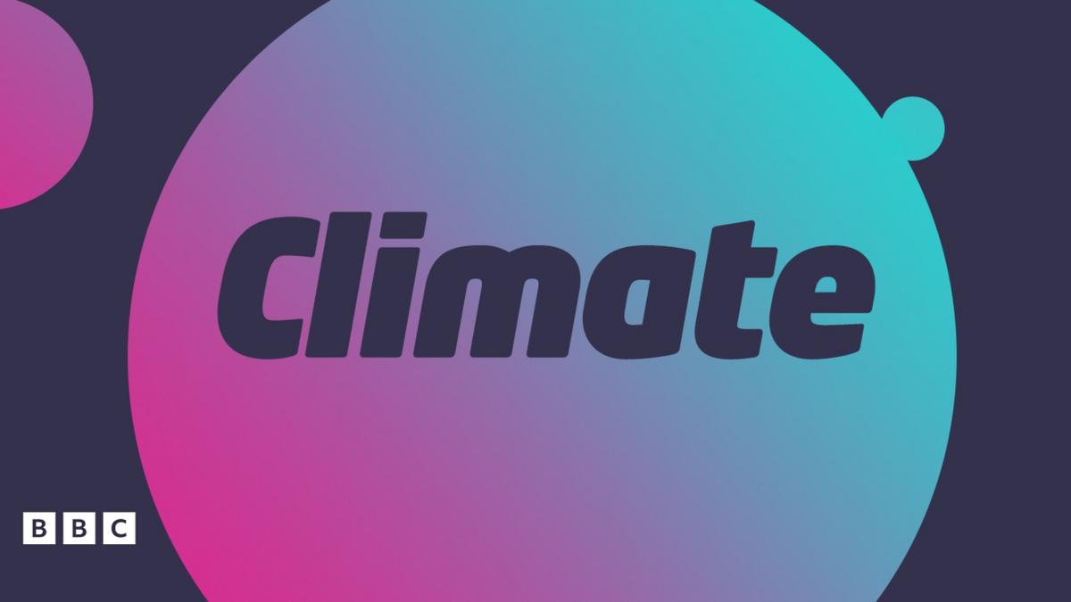 Newsround topics: Climate change and pollution - BBC Newsround