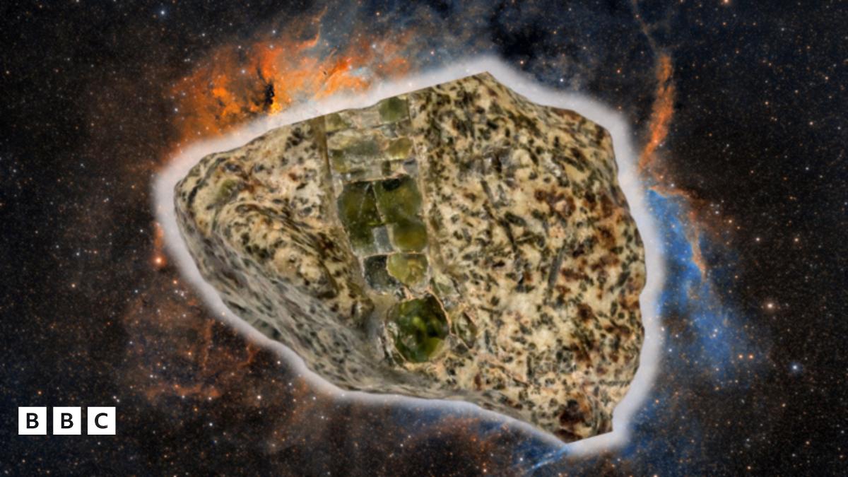 Meteorite Erg Chech 002 changes view on the formation of the solar ...