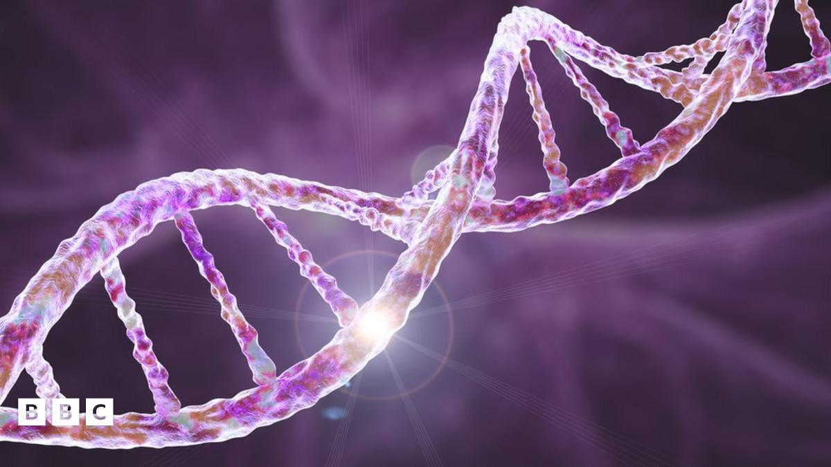 What is the difference between DNA and eDNA? - BBC Newsround