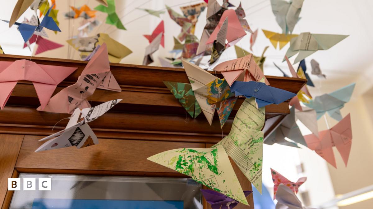 Butterfly art made by students displayed at Cambridge University - BBC ...