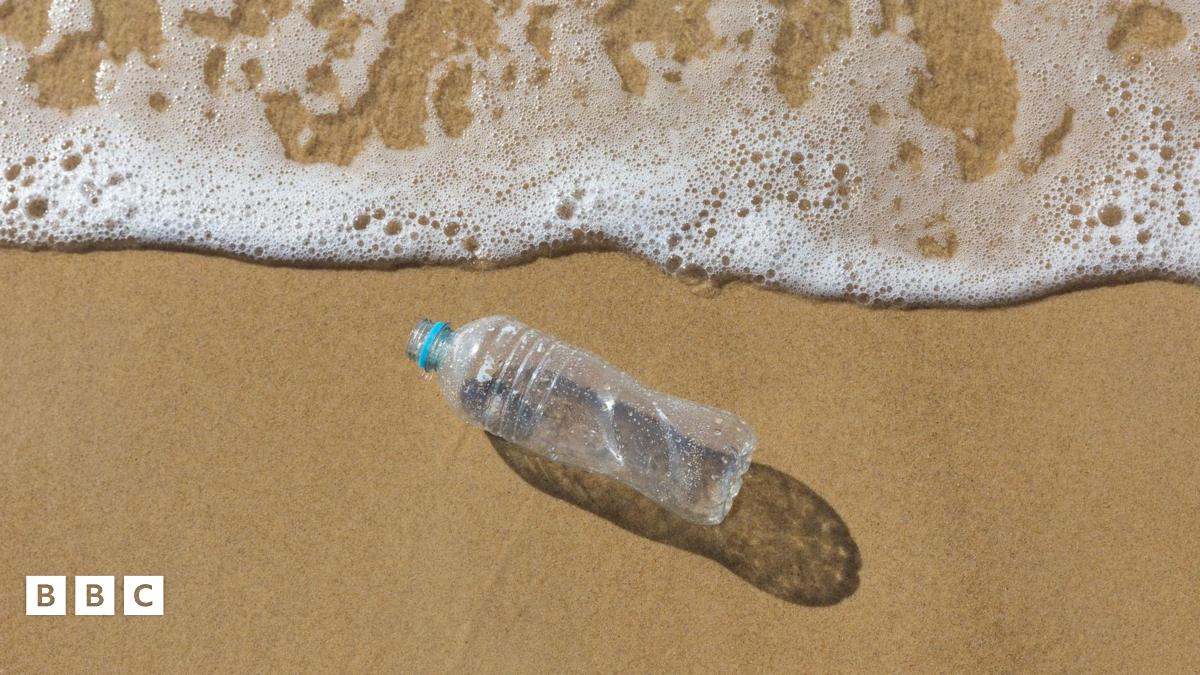 Scientists develop 'environmentally friendly' plastic that dissolves in ...
