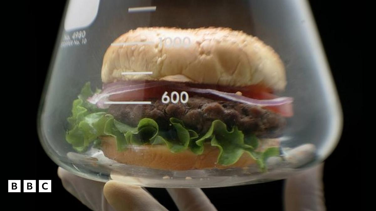 Could lab-grown meat be the future of food? - BBC Newsround