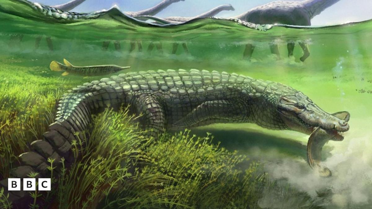Titanochampsa iorii: Scientists discover huge prehistoric crocodile in ...