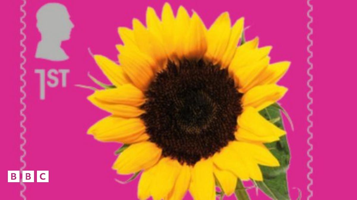 King Charles III: First stamps with King's head to go on sale - BBC ...