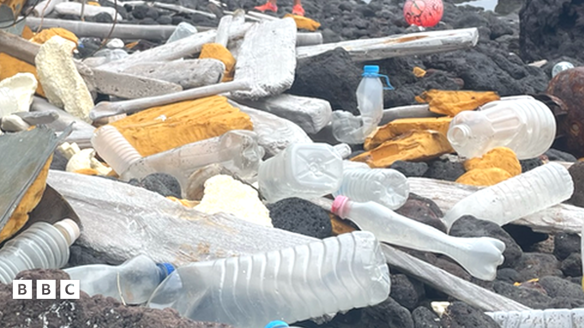 Plastic waste: Thousands of pieces of rubbish wash up on remote island ...