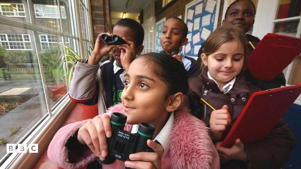RSPB Big Schools' Birdwatch: Everything you need to know - BBC Newsround