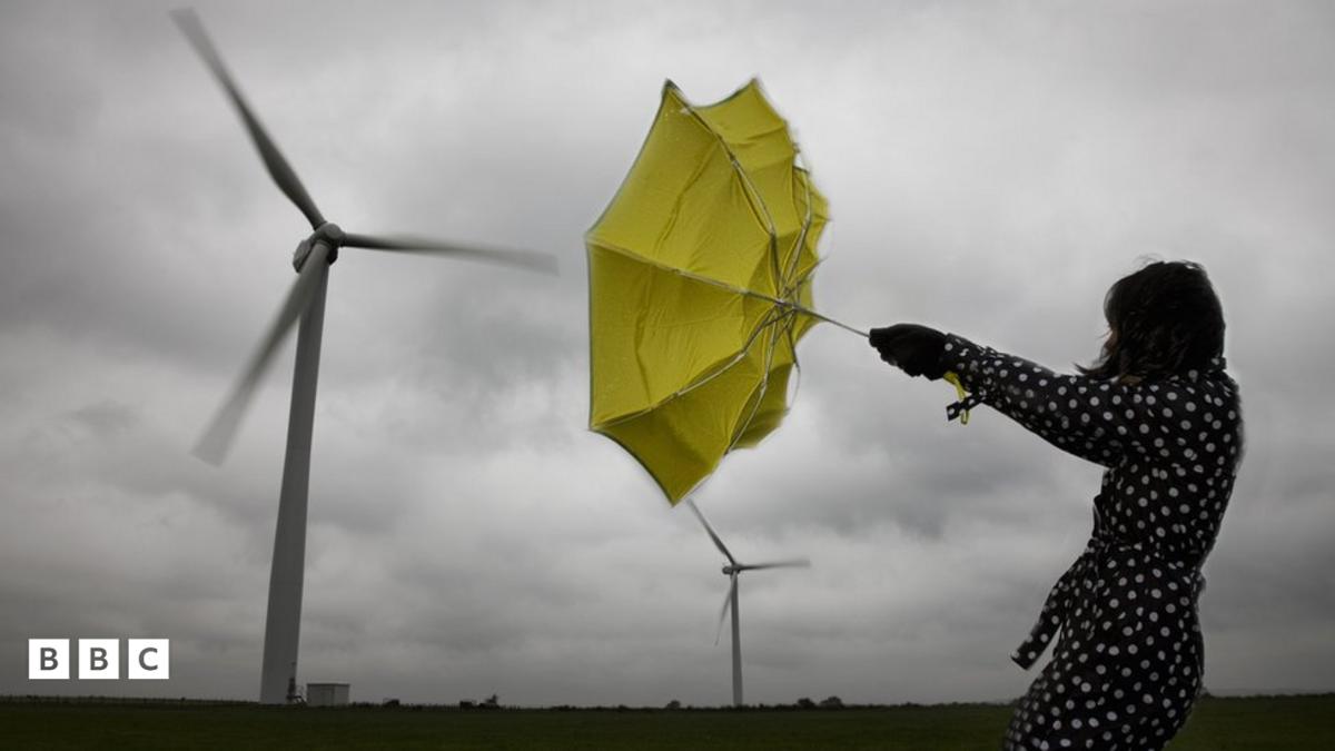 Windy weather helps set new clean energy record - BBC Newsround