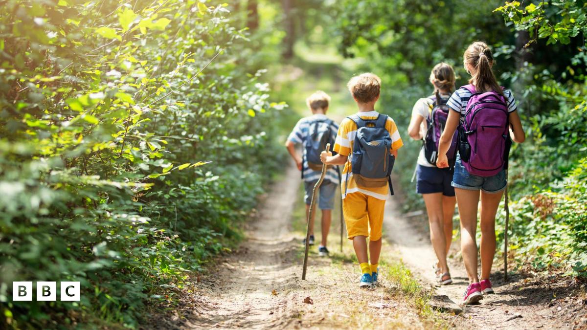 How many steps do you take a day? - BBC Newsround