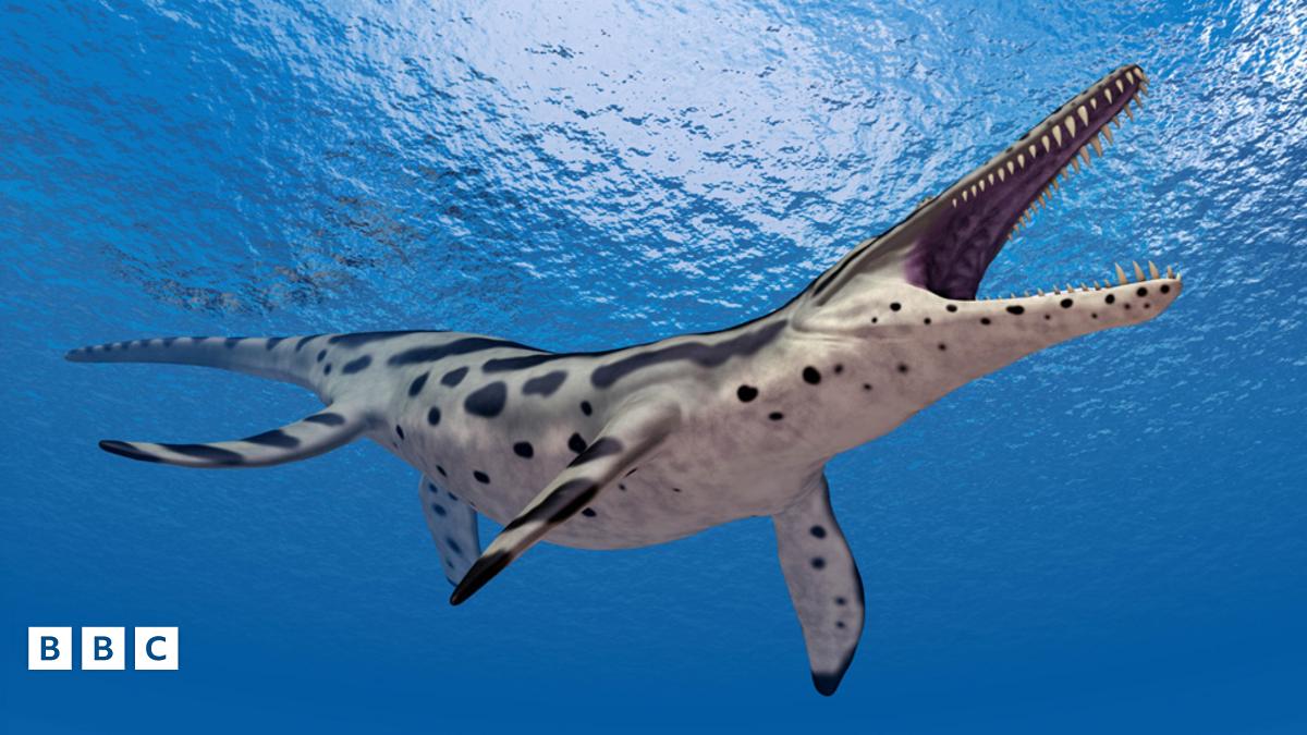Pliosaur: David Attenborough discovers giant skull of ancient sea ...