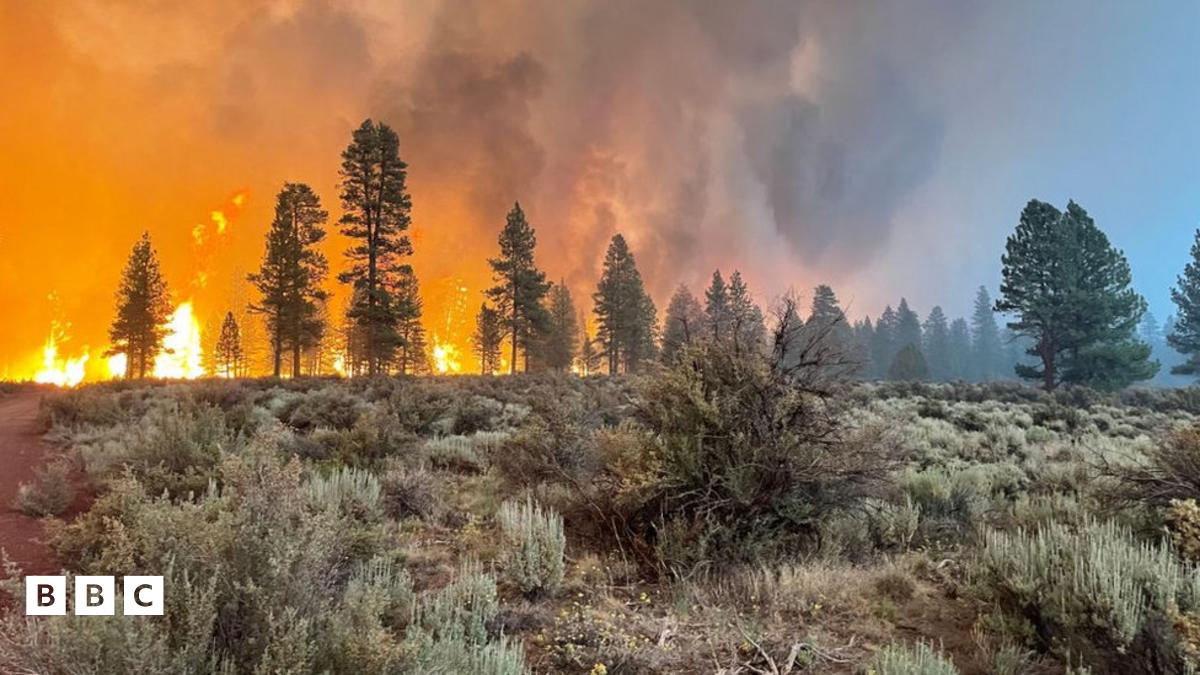 Oregon Bootleg Fire: Emergency services working hard to stop fire ...