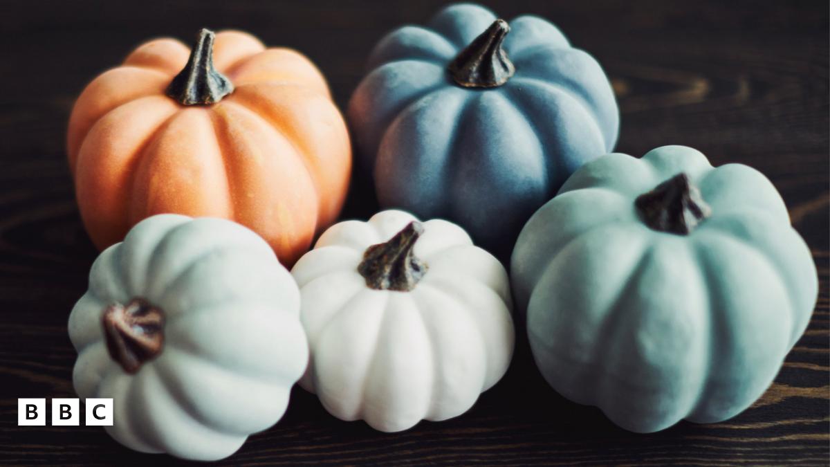 Halloween: What do the different coloured pumpkins mean? - BBC Newsround