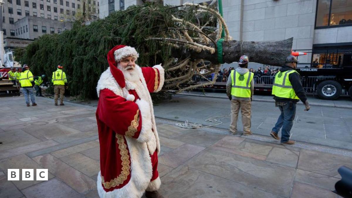Rockefeller Christmas tree: 74-foot world famous tree arrives in New ...