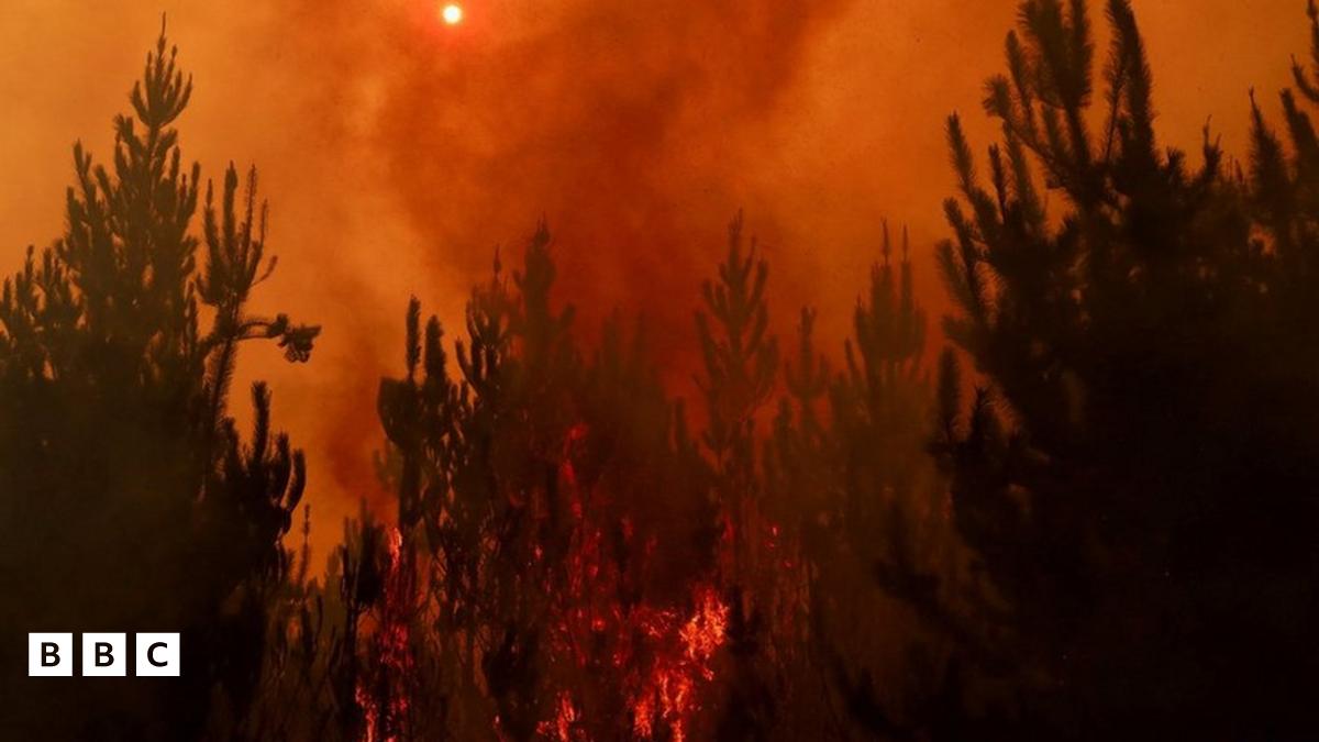 In pictures: Wildfires in Chile continue to rage - BBC Newsround