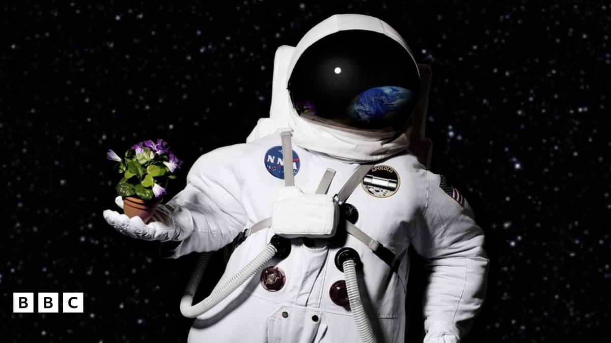 Artemis III: Nasa mission to grow plants on the Moon - BBC Newsround