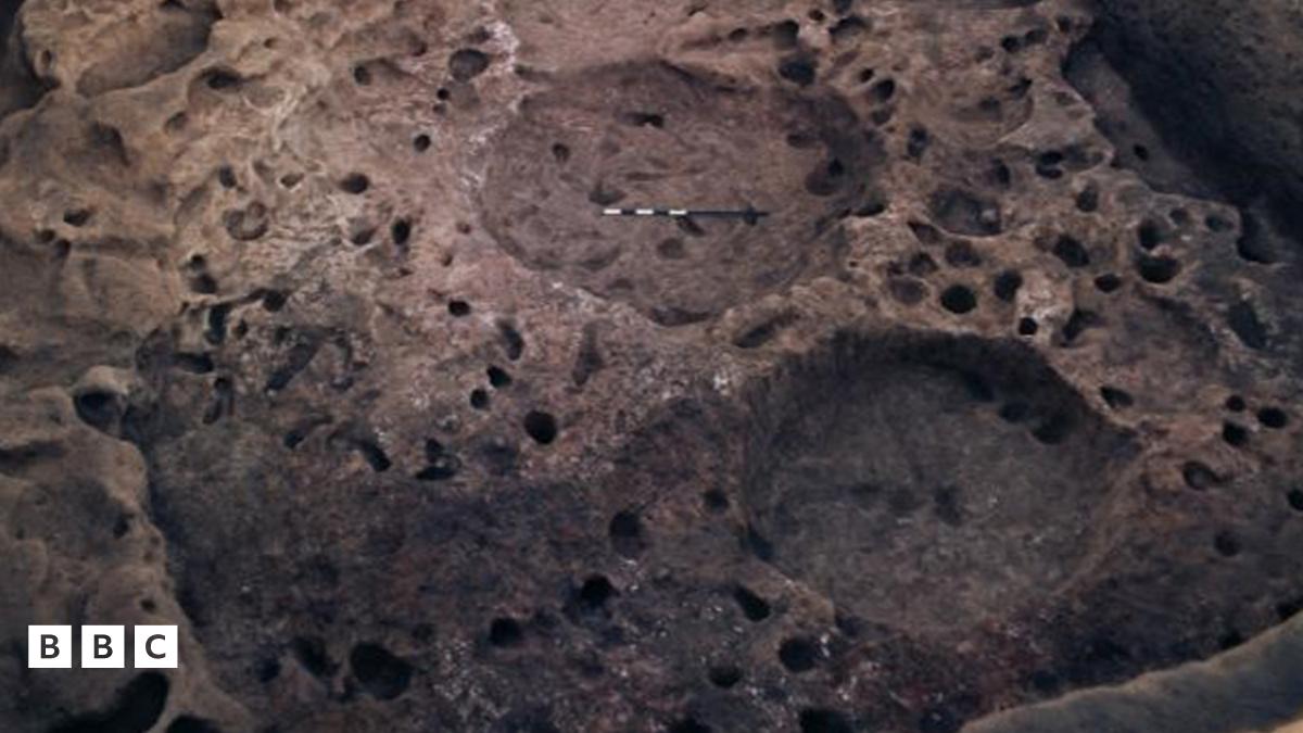 Pre-historic poo from sheep discovered by scientists - BBC Newsround