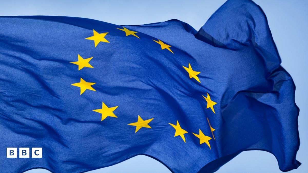 What is the EU? - BBC Newsround