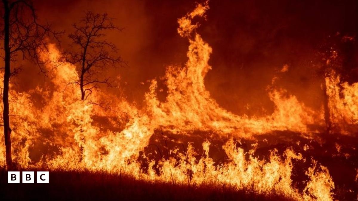 California fires: Thousands forced to flee as Carr fire spreads - BBC ...