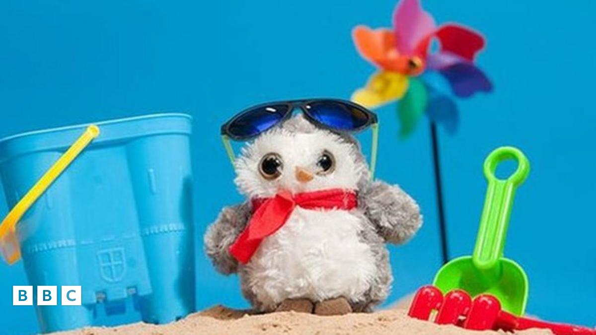 Lost teddy bears to find new homes - BBC Newsround