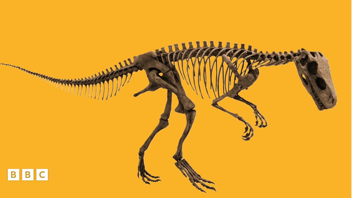 'Oldest EVER' dinosaur fossil found - BBC Newsround