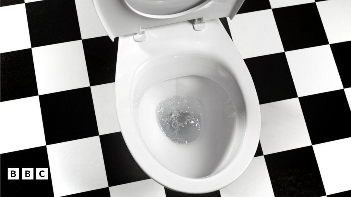 Poo transplant: How does a faecal transplant work? - BBC Newsround