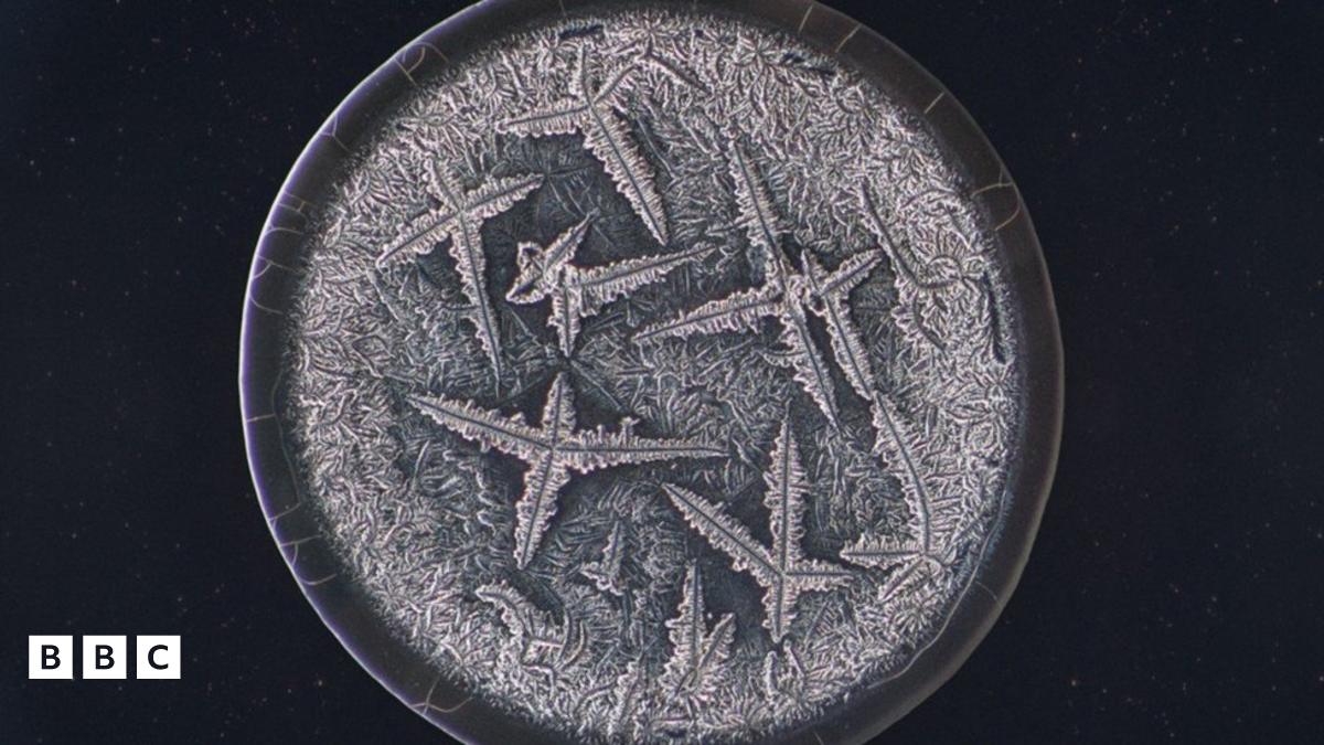 Artist creates work from his own tears under microscope - BBC Newsround
