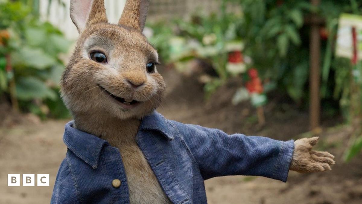 Peter Rabbit and friends will be back in furry sequel - BBC Newsround